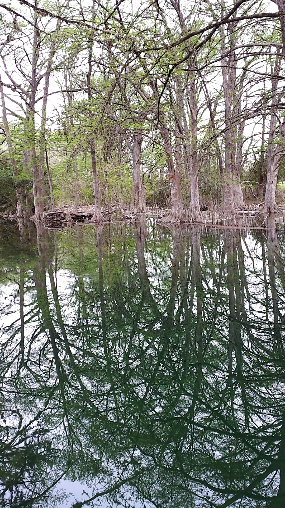 Relax in the Texas Hill Country town of Wimberley